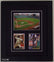 Two Trading Card Frame with Photo - Frame My Collection LLC